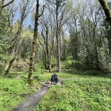 Issaquah Highlands Loop, Washington - 616 Reviews, Map | AllTrails