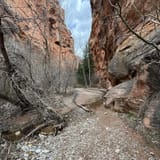 Spring Creek Canyon, Utah - 1,210 Reviews, Map | AllTrails