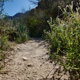Pima Canyon Trail, Arizona - 3,142 Reviews, Map | AllTrails
