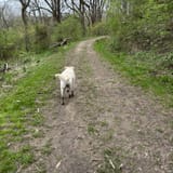 Speedwell Forge Hiking Trail, Pennsylvania - 1,098 Reviews, Map | AllTrails