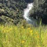 Stevens Trail, California - 4,604 Reviews, Map | AllTrails
