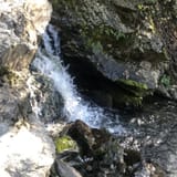 Stevens Trail, California - 4,601 Reviews, Map | AllTrails