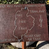 Pine Tree Trail, New Mexico - 2,199 Reviews, Map | AllTrails