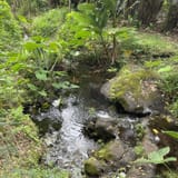 Makiki Valley Loop, Oahu, Hawaii - 5,672 Reviews, Map | AllTrails