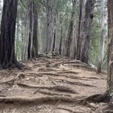 Makiki Valley Loop, Oahu, Hawaii - 5,653 Reviews, Map | AllTrails