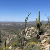 Romero Canyon Trail to Romero Pools, Arizona - 3,848 Reviews, Map ...