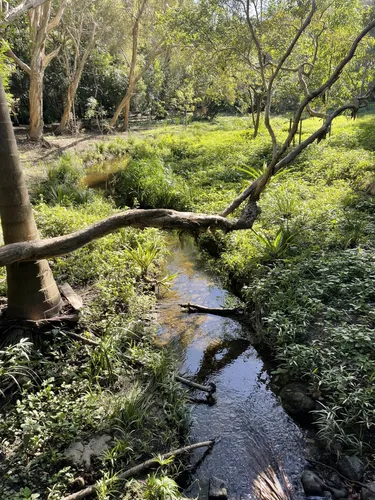 Best Hikes and Trails in Rocks Riverside Park | AllTrails