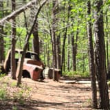 Bashore Ridge Loop Trail, Arkansas - 1,063 Reviews, Map | AllTrails