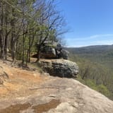 Whitaker Point Trail (Hawksbill Crag), Arkansas - 3,807 Reviews, Map ...