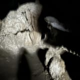 Packsaddle Cave Trail, California - 540 Reviews, Map | AllTrails