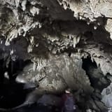 Packsaddle Cave Trail, California - 540 Reviews, Map | AllTrails