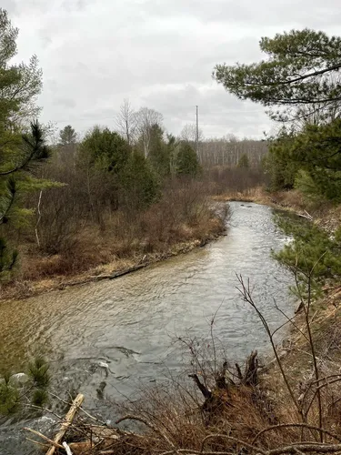 Best Walking Trails in Grawn | AllTrails