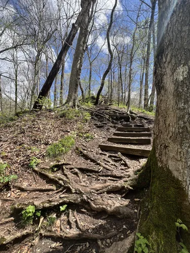 Best Hikes and Trails in Short Springs State Natural Area | AllTrails