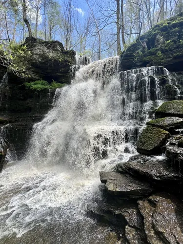 Best Hikes and Trails in Short Springs State Natural Area | AllTrails