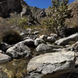 Tahquitz Canyon Loop, California - 4,186 Reviews, Map | AllTrails
