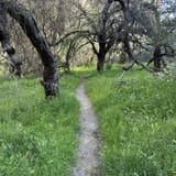 Picketpost Loop via Arizona Trail and L.O.S.T Trail, Arizona - 1,499 Reviews, Map | AllTrails