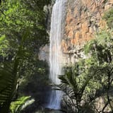 Purling Brook Falls Circuit via Warringa Pools, Queensland, Australia ...