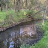 Johnson Springview Outer Loop, California - 369 Reviews, Map | AllTrails