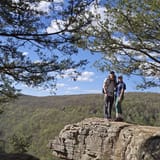 Whitaker Point Trail (Hawksbill Crag), Arkansas - 3,817 Reviews, Map ...
