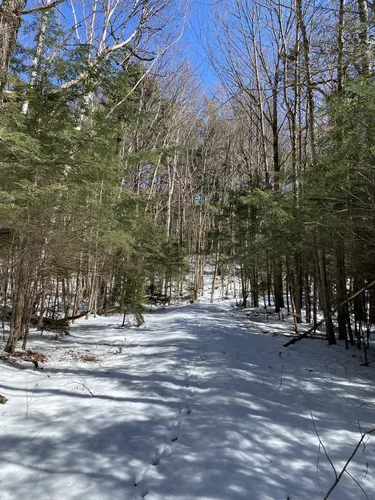 Best Waterfall Trails in Tupper Lake | AllTrails