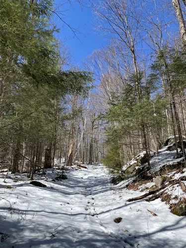 Best Waterfall Trails in Tupper Lake | AllTrails