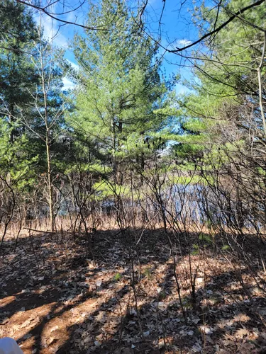 Best Walking Trails in Grawn | AllTrails