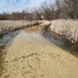 Purgatory Park, Minnesota - 501 Reviews, Map | AllTrails