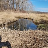 Purgatory Park, Minnesota - 501 Reviews, Map | AllTrails