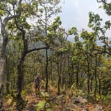 Mon Jing Loop, Chiang Mai, Thailand - 289 Reviews, Map | AllTrails