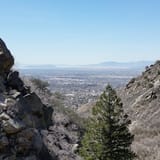 Burch Creek Trail, Utah - 777 Reviews, Map | AllTrails