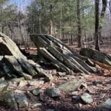 Limberlost Trail, Virginia - 856 Reviews, Map | AllTrails