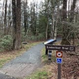 Limberlost Trail, Virginia - 856 Reviews, Map | AllTrails