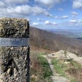 Limberlost Trail, Virginia - 856 Reviews, Map | AllTrails