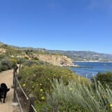 Terranea Discovery Trail, California - 1,452 Reviews, Map | AllTrails