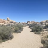 Skull Rock, California - 3,157 Reviews, Map | AllTrails