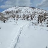 Big Beacon Mount Wire Trail, Utah - 1,523 Reviews, Map | AllTrails
