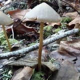 Nolte State Park Deep Lake, Washington - 609 Reviews, Map | AllTrails