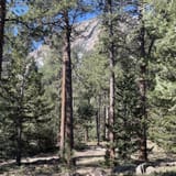 Shanahan Ridge Trail, Colorado - 3,283 Reviews, Map | AllTrails