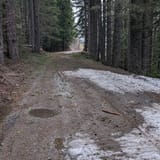 Ira Spring Memorial Trail, Washington - 2,014 Reviews, Map | AllTrails