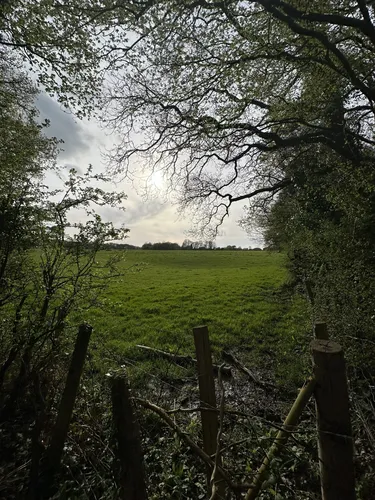 Best Moderate Trails in Ashton Court Estate | AllTrails