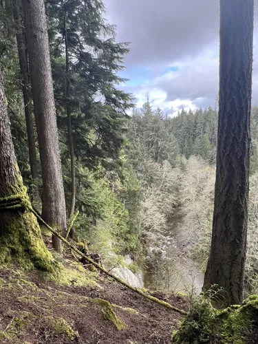 Best River Trails in Sechelt | AllTrails