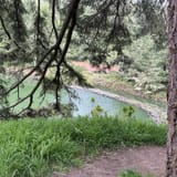 Alamere Falls via Coast Trail from Palomarin Trailhead, California ...