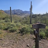 Second Water and Hackberry Spring Loop, Arizona - 1,984 Reviews, Map ...