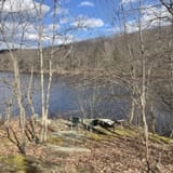 Ramapo Reservation Loop Trail, New Jersey - 1,668 Reviews, Map | AllTrails