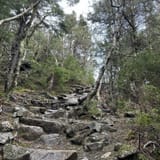 Artist Bluff Trail, New Hampshire - 4,430 Reviews, Map | AllTrails