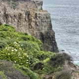 Old Cove Landing Trail, California - 3,579 Reviews, Map | AllTrails