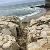 Old Cove Landing Trail, California - 3,579 Reviews, Map | AllTrails