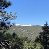 Mount Falcon Castle Trail Loop, Colorado - 5,607 Reviews, Map | AllTrails