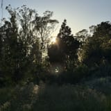 Mount Sutro Loop, California - 2,517 Reviews, Map | AllTrails