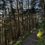 Mount Sutro Loop, California - 2,517 Reviews, Map | AllTrails